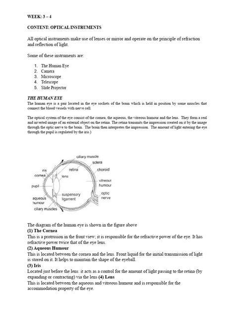 Physics Ss2 Week 3 To 5 Pdf Eye Color