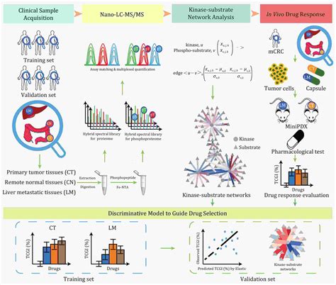 Integrated Proteomic And Phosphoproteomic Data Independent Acquisition