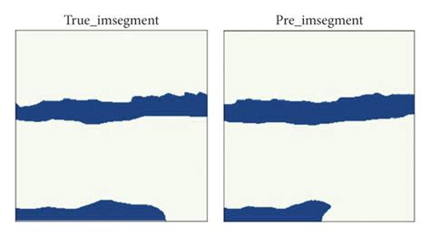 Examples Of Empirically Determined And Predicted Labels A Transverse