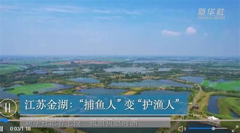 江苏金湖捕鱼人变护渔人丨新华网 我苏网