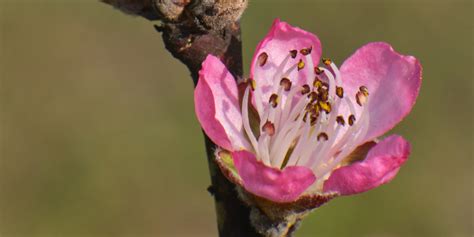 Gsoc Report Syslog Ng Macos Support Blog Syslog Ng Community