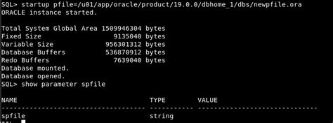 Oracle Default Scope In Alter Statement Dot Net Tutorials