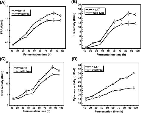Cellulase And Xylanase Production In The Fermentation Process The