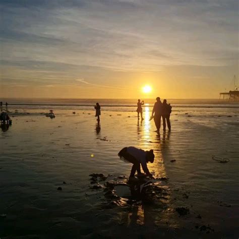 Sujin Han 20241226 여행2일차 샌디에고 레고랜드 2편 ️ 아침10시부터 저녁7시까지 꽉 채워서 놀았던 하루 공룡 찾으면 카메라로 찰칵찍는 어트랙션은