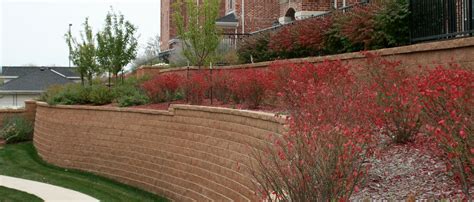 MSE Geotechnical Engineering Services