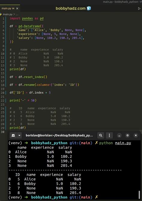 add a column with incremental numbers to a pandas dataframe bobbyhadz