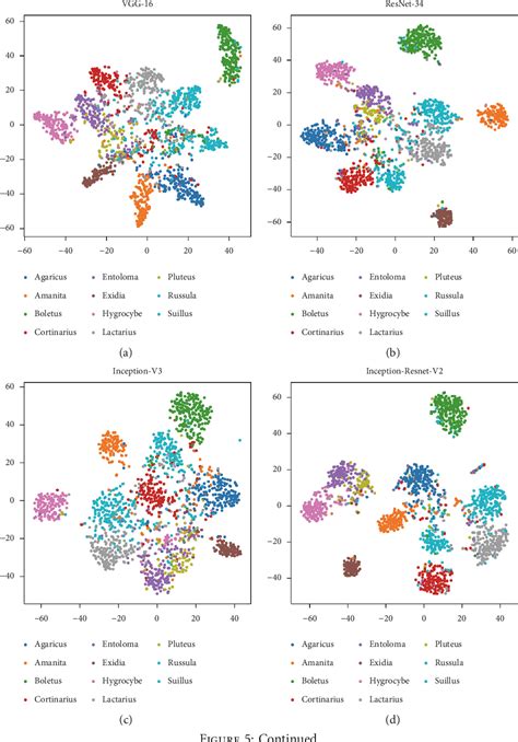 Figure 1 From Automatic Mushroom Species Classification Model For Foodborne Disease Prevention
