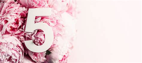 크리에이티브 레이아웃 핑크 모란 꽃과 숫자 다섯 5 생일 인사말 카드 기념일 컨셉 맨 위 보기입니다 공간을 복사합니다 꽃 배경 위에 세련된 흰색 숫자 숫자 숫자입니다 5에
