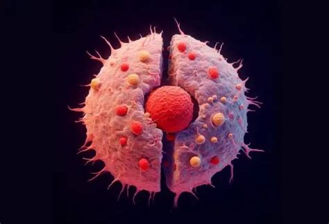 What Is The Role Of Stat Proteins In Cancer Rmedicaltrend