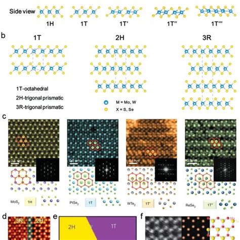 identification of the atomic structures of various phases and their