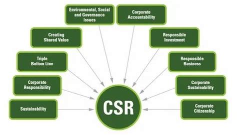 CSR Audits In India