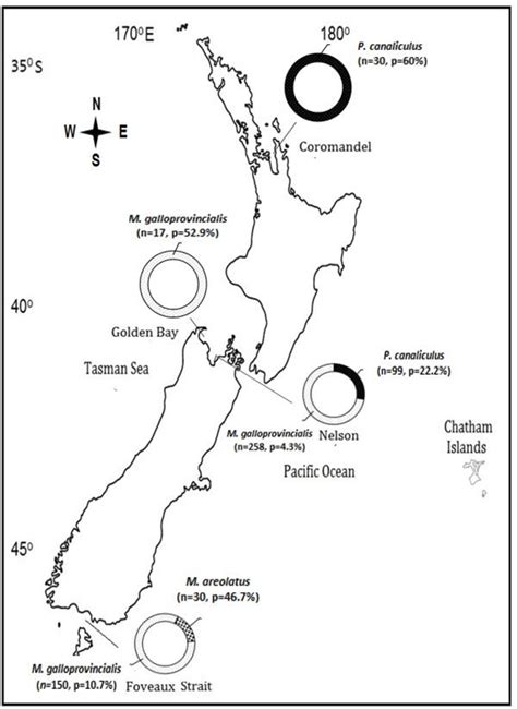 Figure 1 3 From Molecular Detection Of The Apicomplexan Parasite X Apx In Bivalves In New