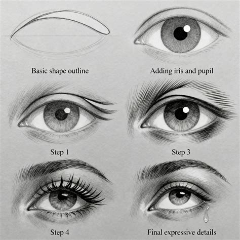 Step By Step Eye Drawing Ai Tutorials And Examples