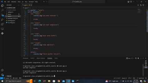 Maira Kanwal On Linkedin Programming Coding Techtips Softwaredevelopment Switchcas