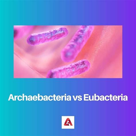 Dominios Bacteria Archaea Y Eukarya Pdf