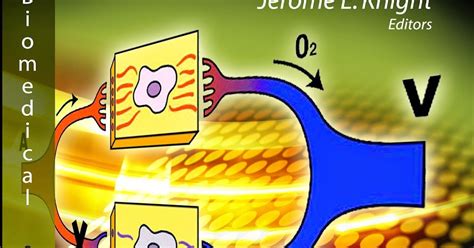 Anaesthesia Database Septic Shock Symptoms Management And Risk Factors Emergency And