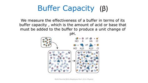 Buffer Action And Buffer Capacity Pptx Chemistry Science