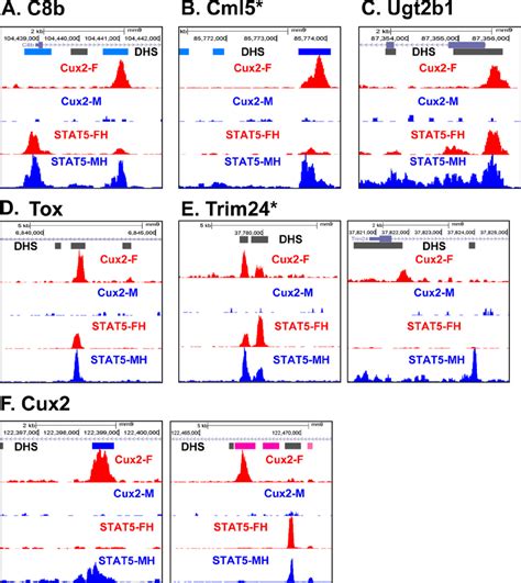 Sex Biased Binding Of CUX At Sex Specific Genes Shown Are UCSC Genome Download Scientific