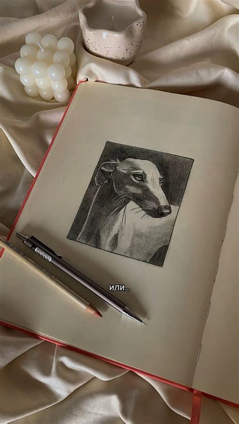 ️ рисование художник творчество рисуноккарандашом скетч ручная работа набросок Youtube
