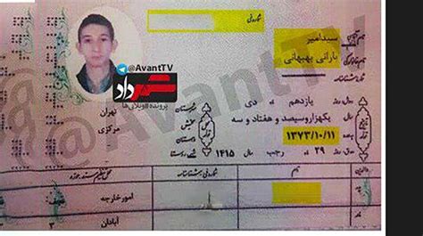 تاجر 24 ساله پورشه ضامن میلیاردی شبنم نعمت زاده بود امیر بارانی