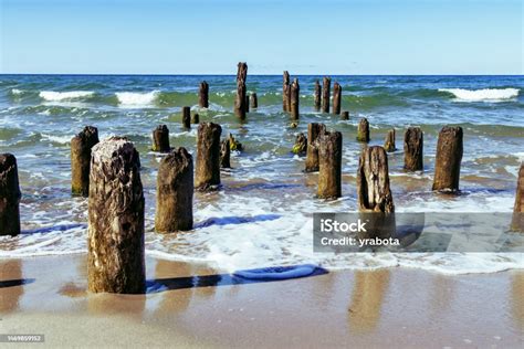 바다 경치 모래 해변 푸른 하늘 발트해의 푸른 바닷물 Filinskaya 베이 해변 러시아에 나무 더미의 행 물에 오래 된 풍화 된 나무 기둥 여름날 파도와 바람 기둥에