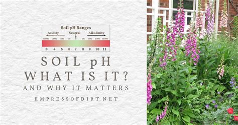 What Is Soil PH And How To Work With It Empress Of Dirt