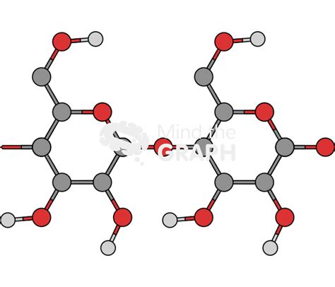 Cellulose Molecule Structure Computational And Experimental Insights