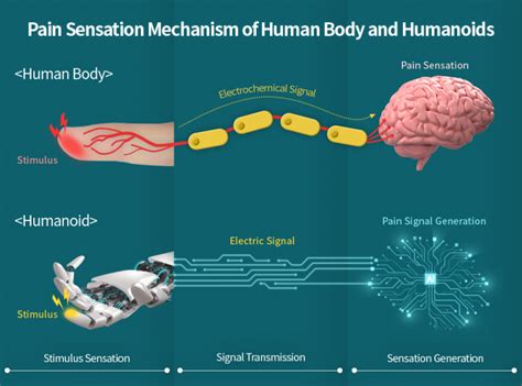 Schematicdiagramofanartificialsensor Sk Hynix Newsroom