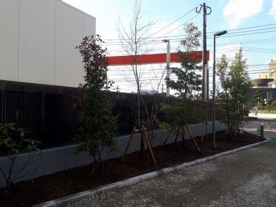 ここ最近の現場11 株式会社山之内庭園