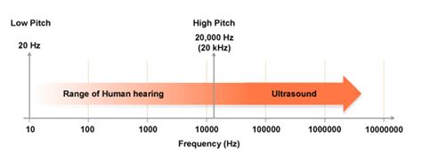 Bbc Gcse Bitesize Sound Summary