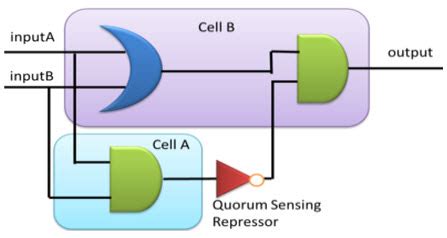 Combinational Logic Circuits Functions And Classification