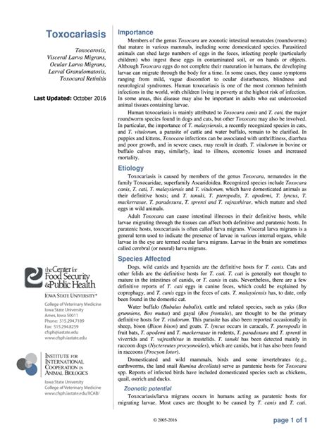 Ocular Larva Migrans