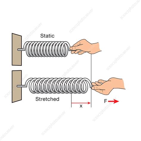 Elastic Potential Energy Illustration Stock Image C042 4377