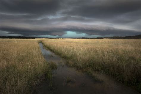 Gallery — Samuel Markham