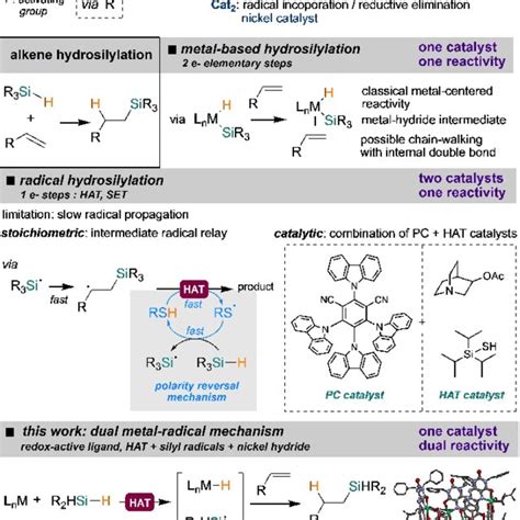 Combination Of Metal And Radical Strategies For Dual Catalysis And