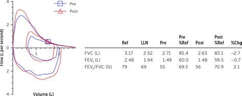 Distinguishing Asthma And COPD In Primary Care A Case Based Approach AAFP