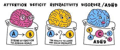 What Does It Mean Adhd Brain Attention Deficit Hyperactivity Disorder