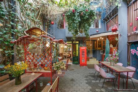 ბროწეული ინფო ბათუმი