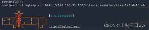 Sqlmap使用教程图文教程（非常详细）从零基础入门到精通，看完这一篇就够了。 Csdn博客