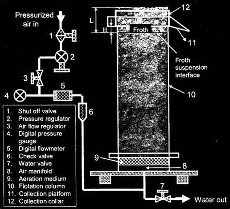 A Schematic Diagram Of The Column Flotation Cell Download Scientific Diagram