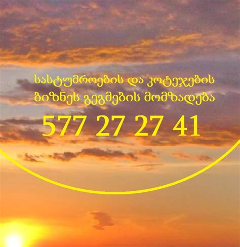 ბიზნეს გეგმები ემიგრანტებისათვის 577 235 400