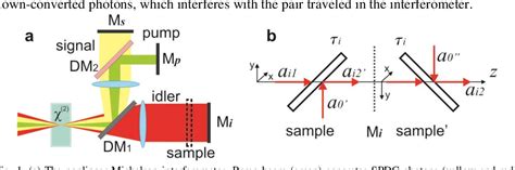 Figure 1 From Polarization Effects In Nonlinear Interference Of Down Converted Photons