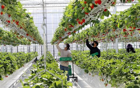 농촌경제硏 청년농 부족 농업·농촌 지속가능성 담보 못해 이투데이