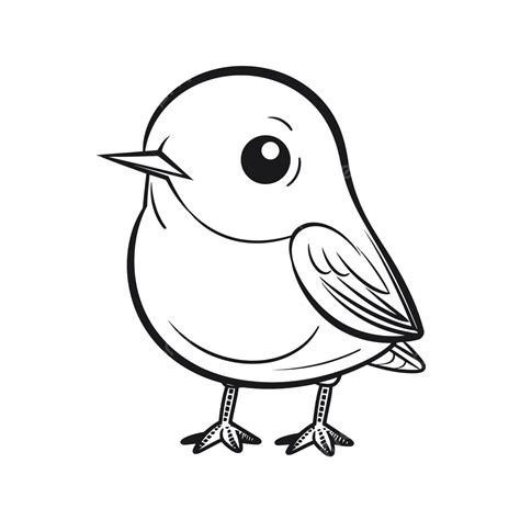 Outline Bird Drawing Clipart Birds Drawings Simple Outlines Easy