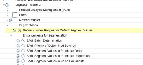 Solved Requirement Segment Sap Community