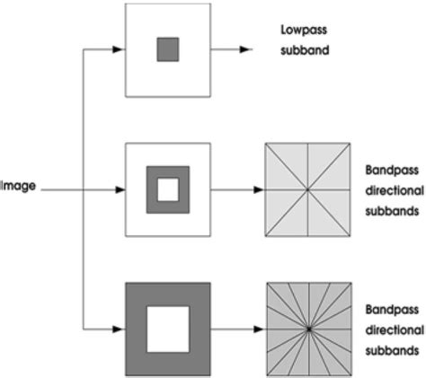 Nonsubsampled Contourlet Transform Download Scientific Diagram
