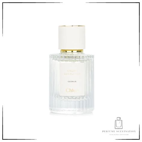 Chloe Cedrus Edp 150ml Perfume Scentsation