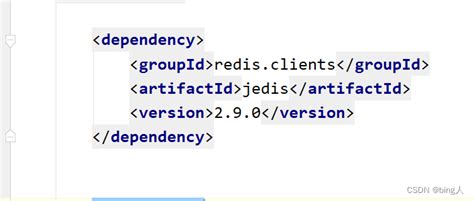 Redis 使用java代码操作redisredis负载均衡java代码使用 Csdn博客