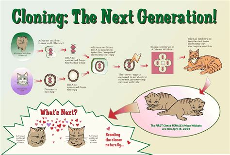 Eve The 1st Human Clone